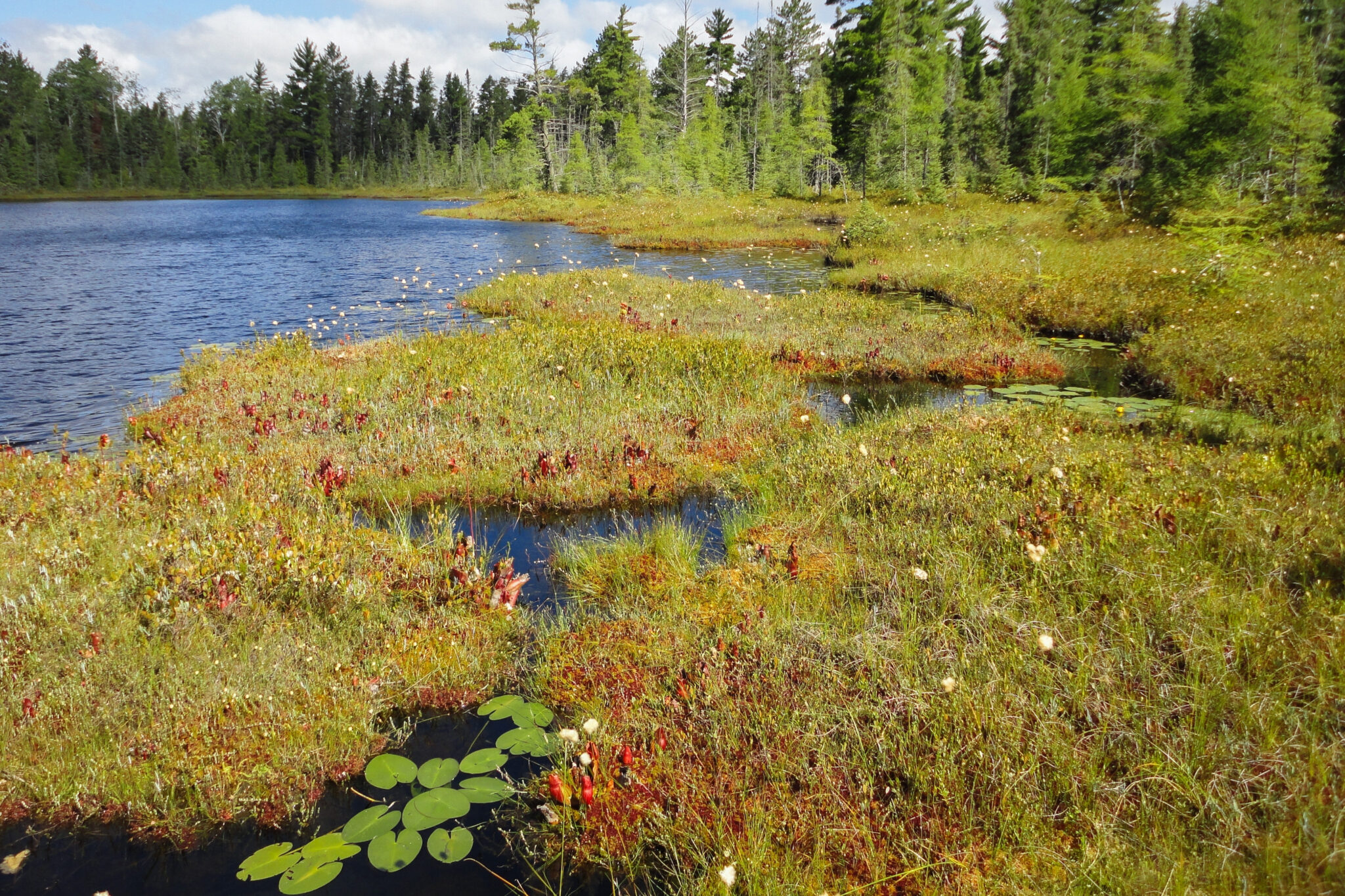 Data Sources and Information – The U.S. National Vegetation Classification